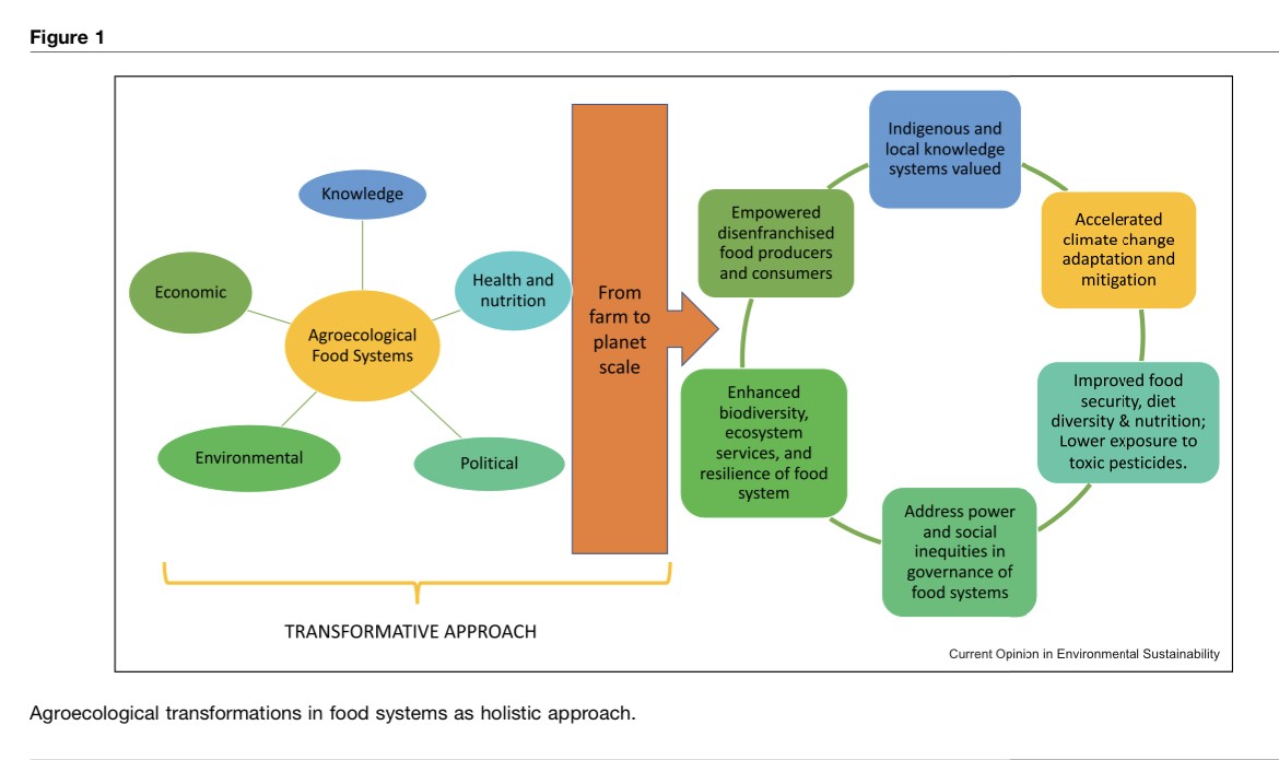 Agroecology as a transformative approach to tackle climatic, food, and ...