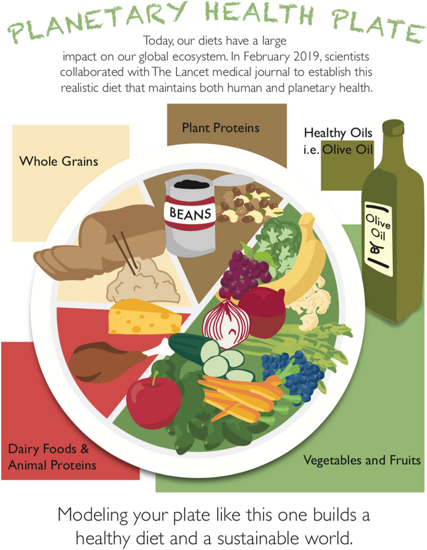 EAT-Lancet Planetary Health Diet lowers risk of premature death and ...