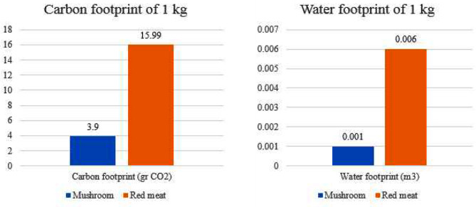 Edible mushrooms as an alternative to animal protein for having a more ...
