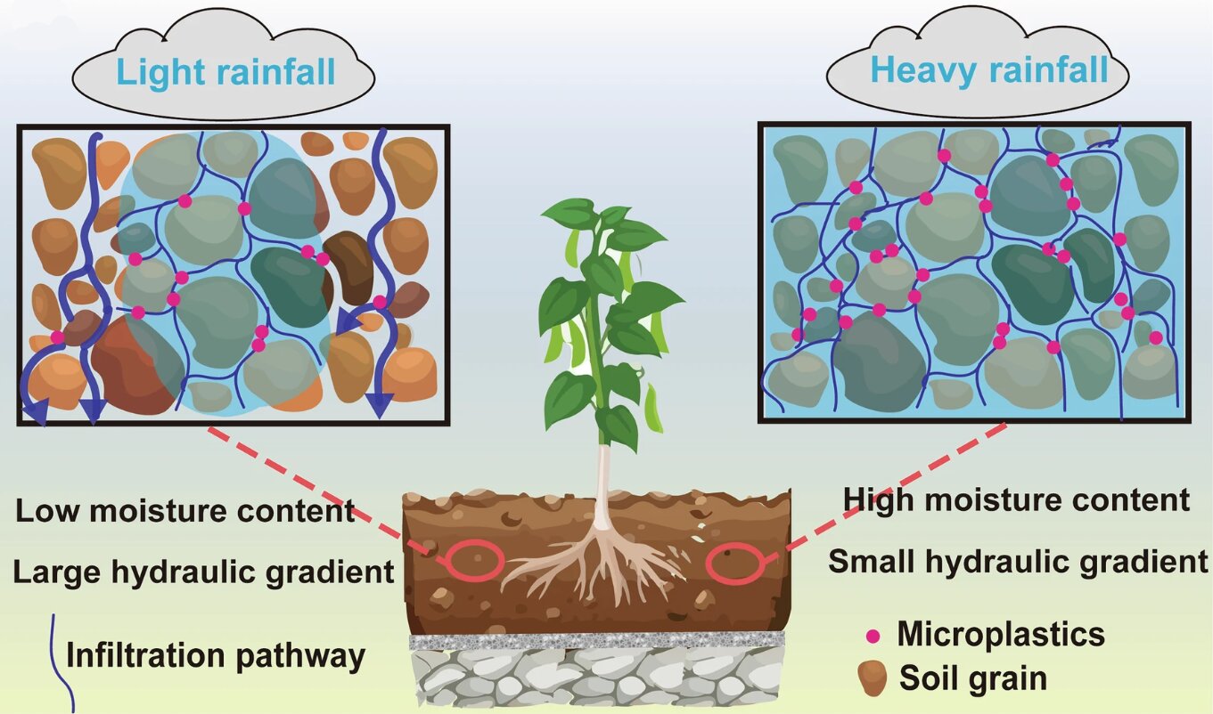 Green roofs can capture nearly all microplastics that contaminate ...