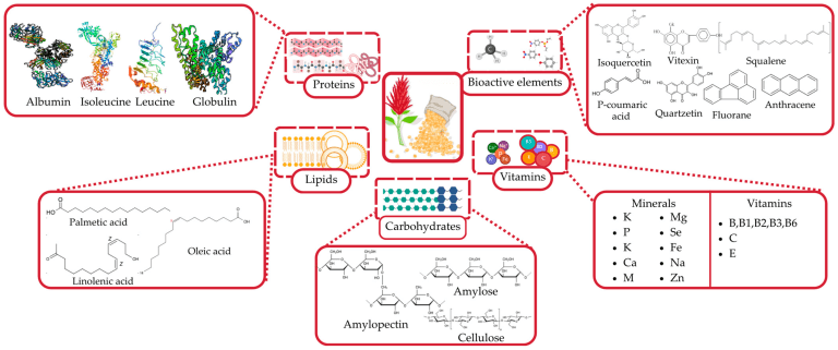 Amaranth: An ancient grain with functional and health-promoting ...